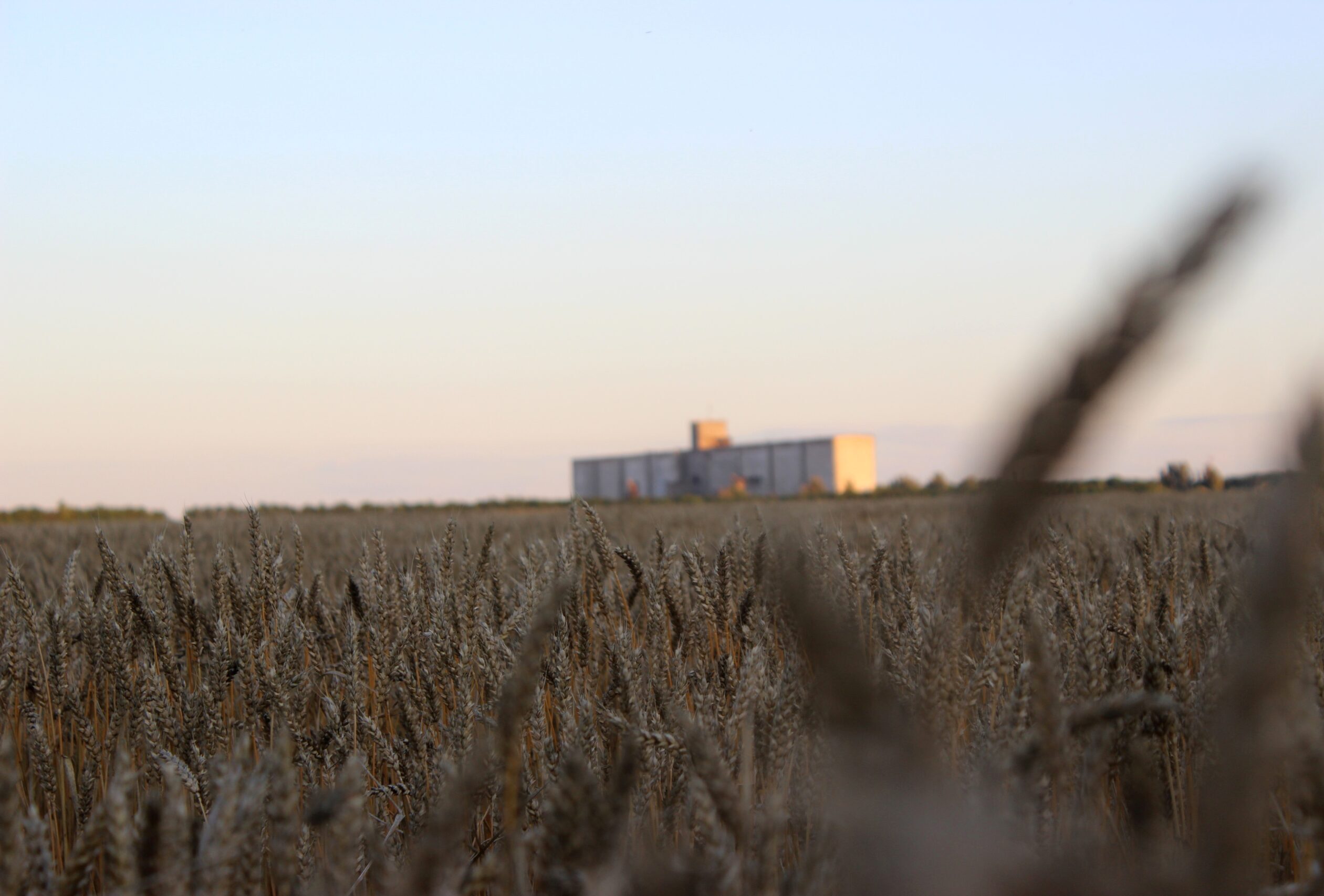 Newsroom - The Communication Group